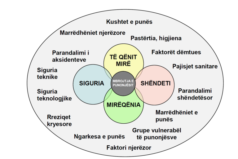 Manual praktik për Vlerësimin e Riskut në Punë - AlProfit Consult